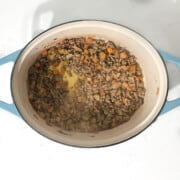Easy Mince and Dumplings Recipe