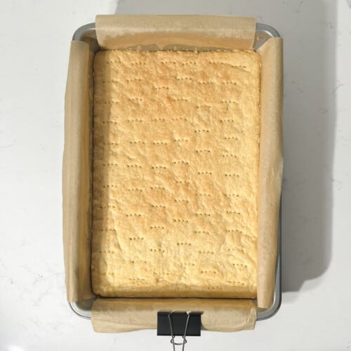 Tan Square - An Easy Caramel Slice Recipe